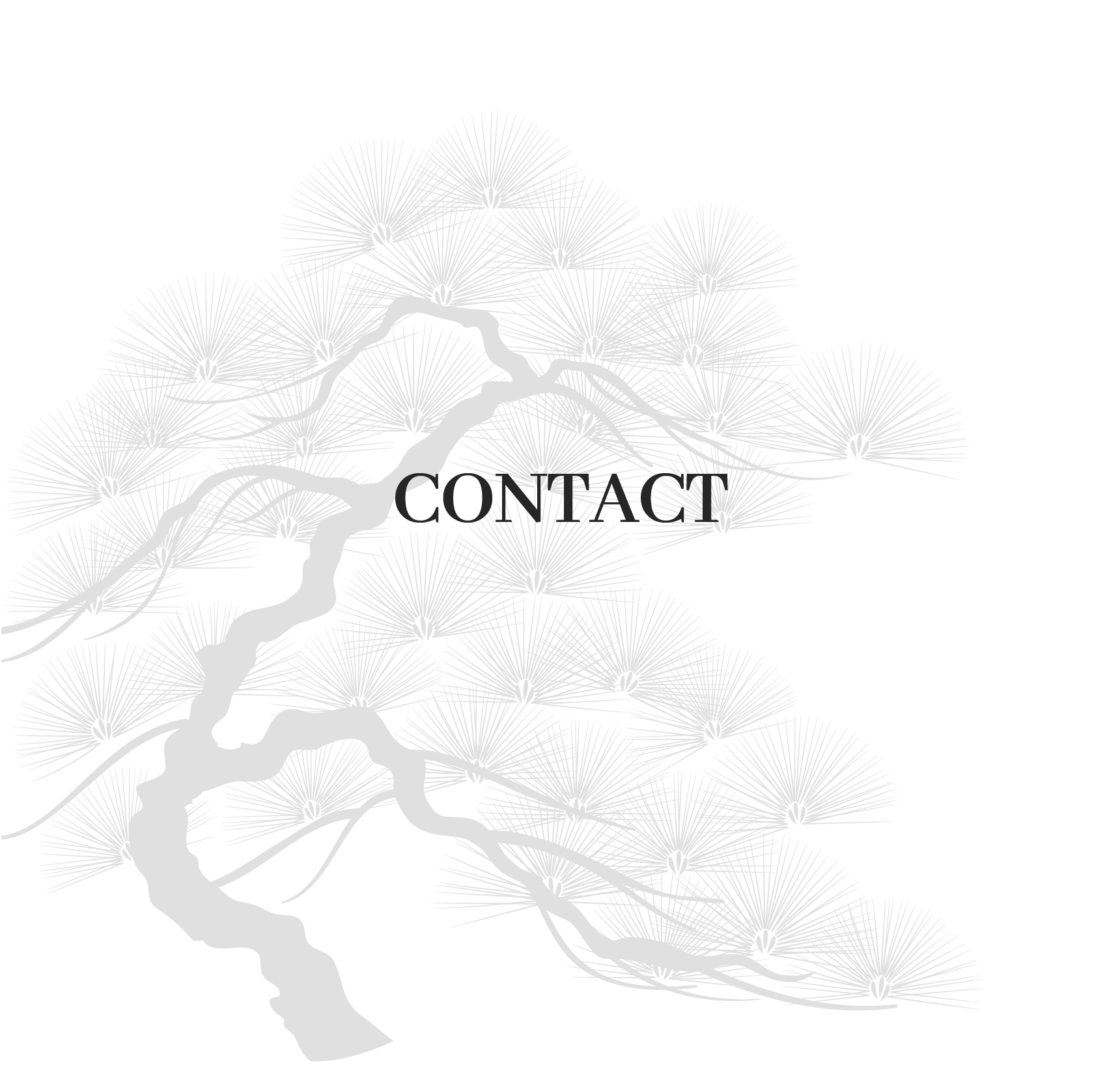 Contact Us – Oniarai